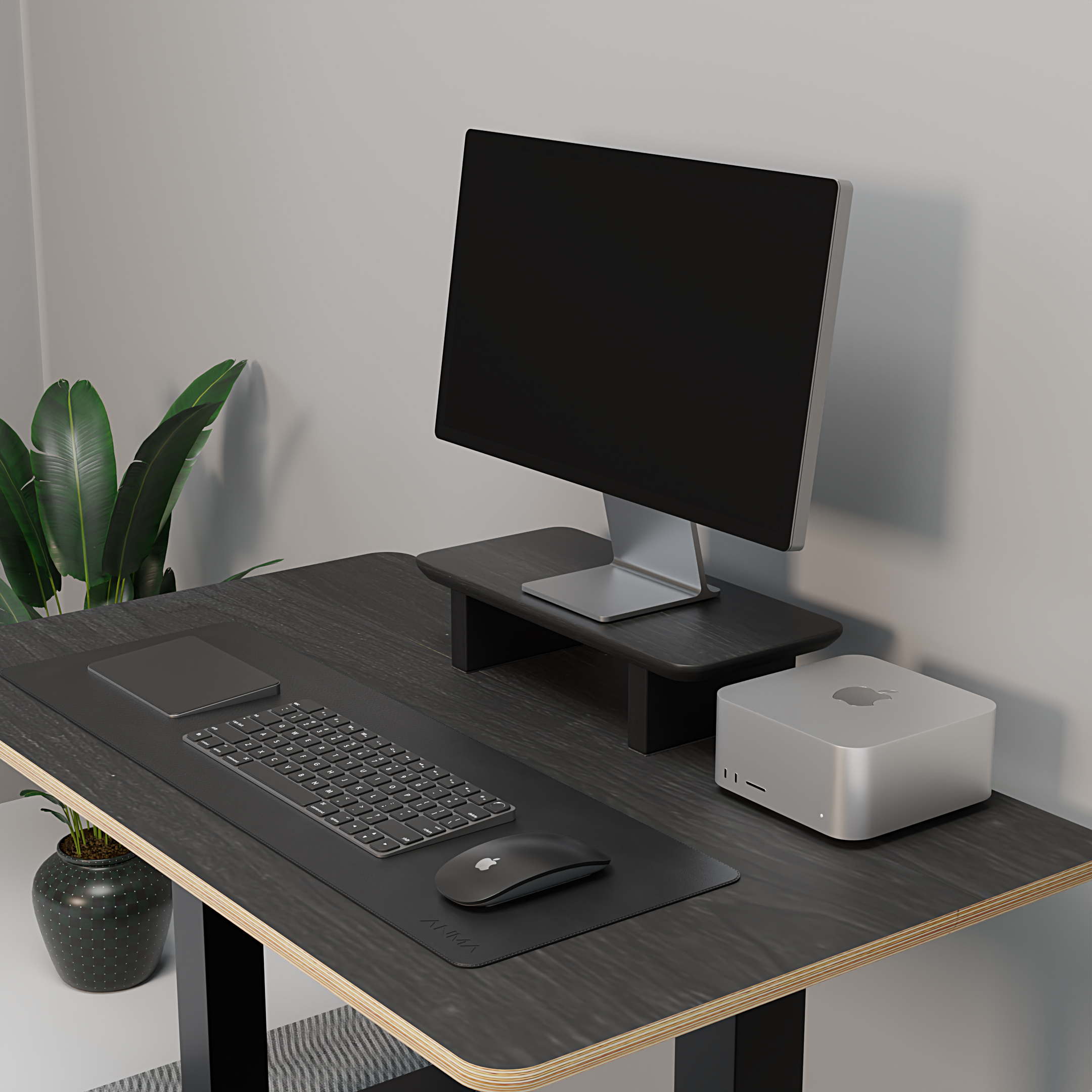 StandPro Mini Black - Anma