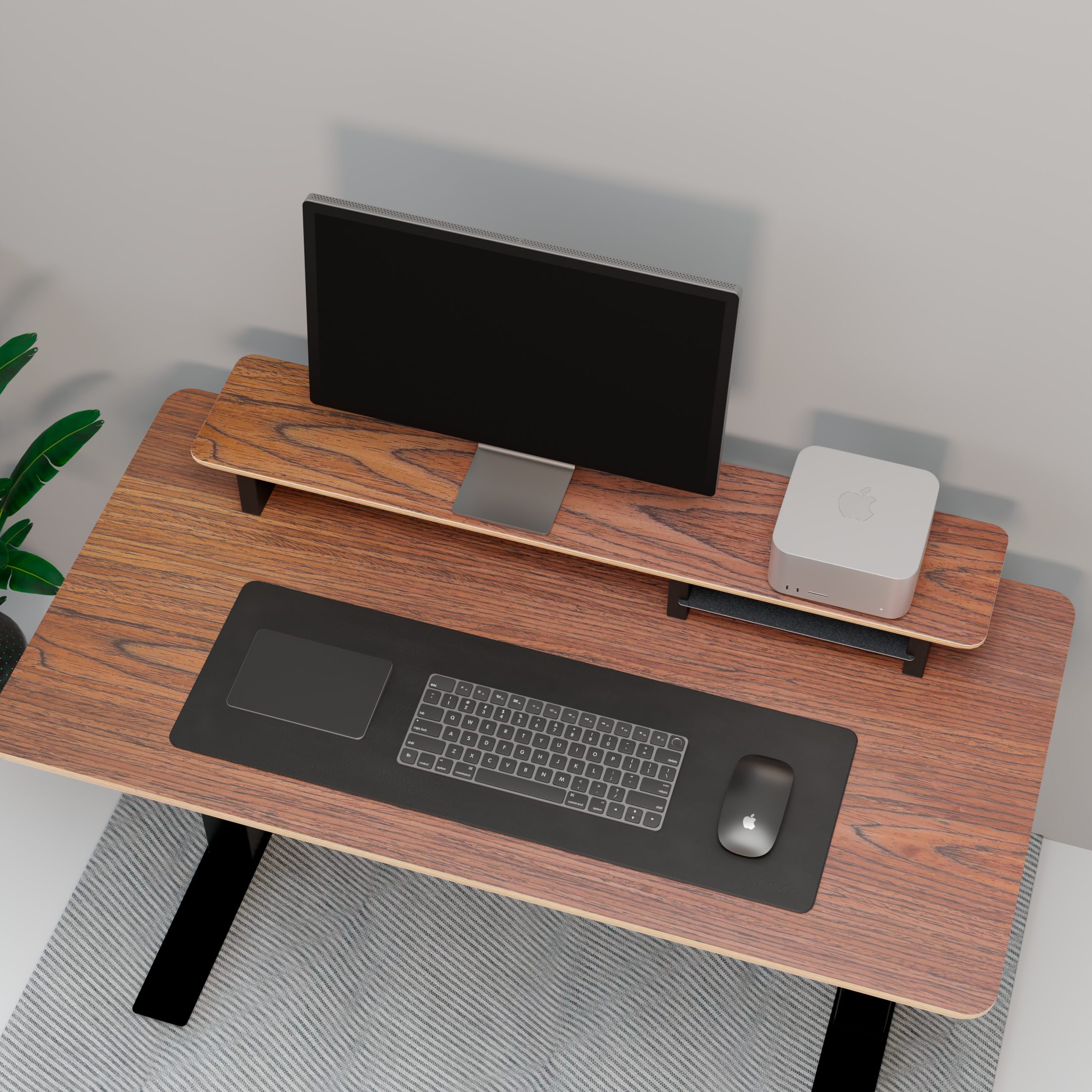 StandPro 2 Nogueira - Anma