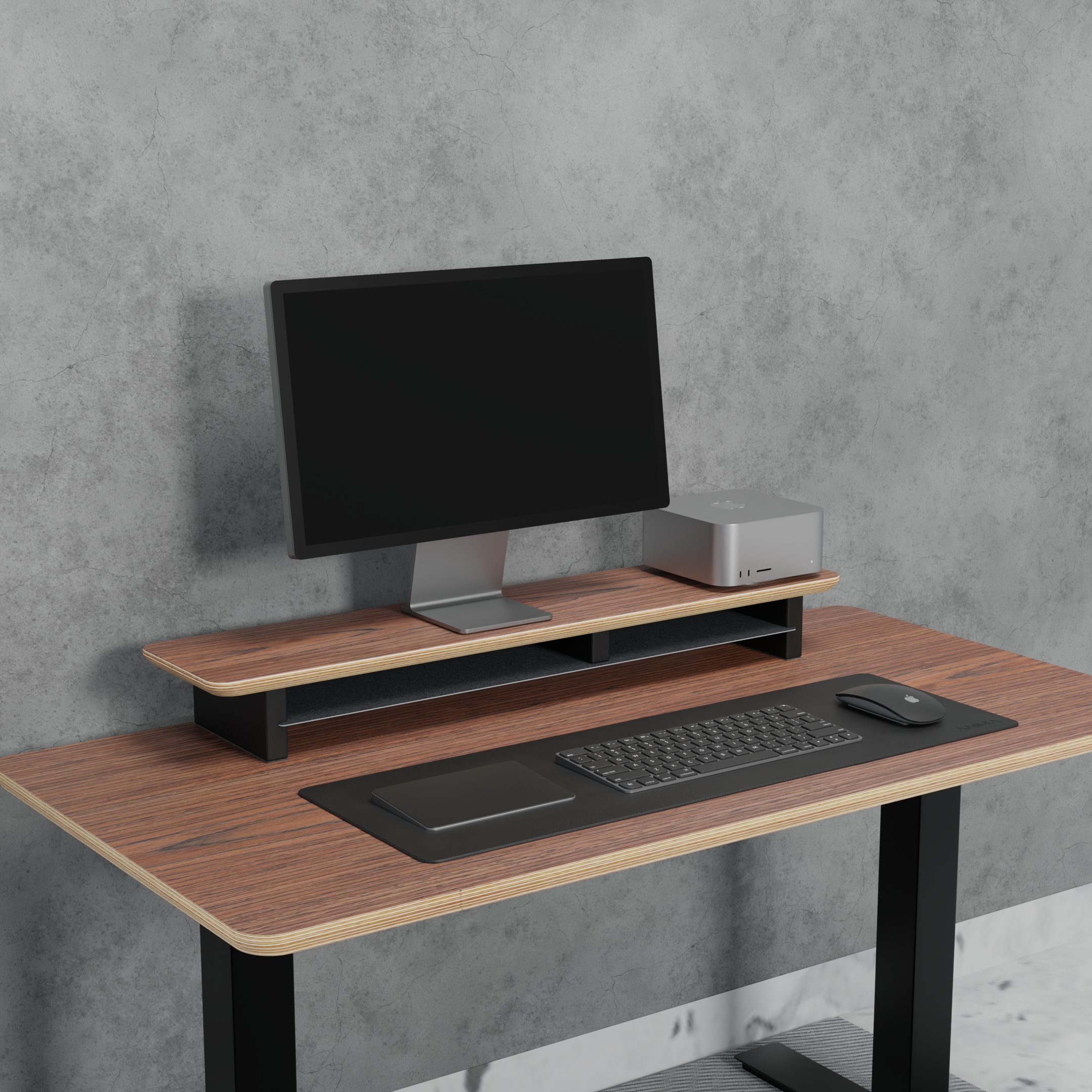 StandPro 4 Slim Nogueira - Anma